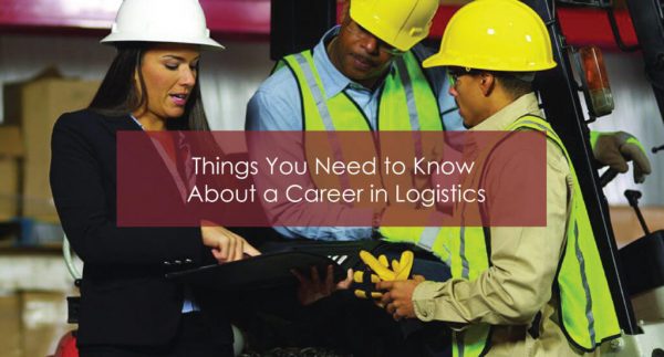 Things you need to know about a career in Logistics | Transglobe Blog
