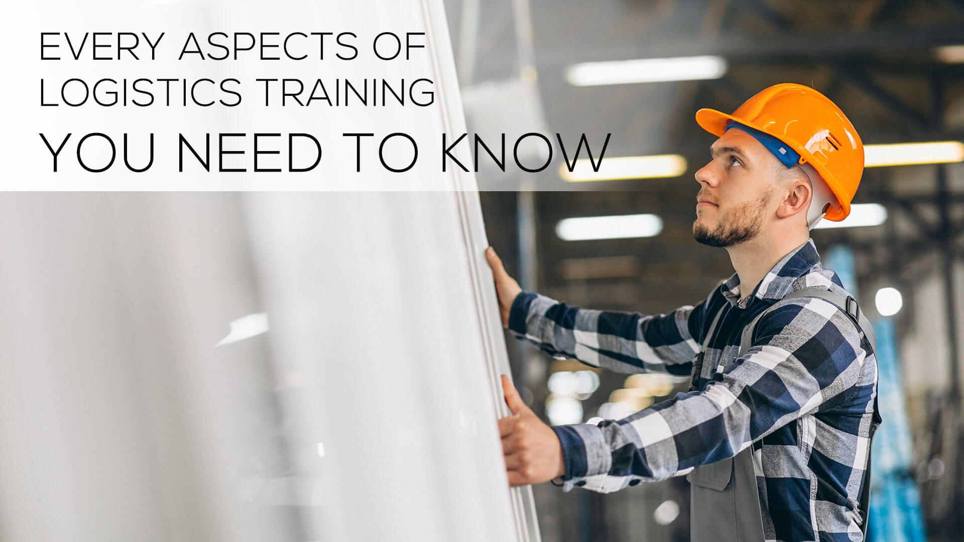 Every Aspects of Logistics Training you Need to Know | TransGlobe Academy